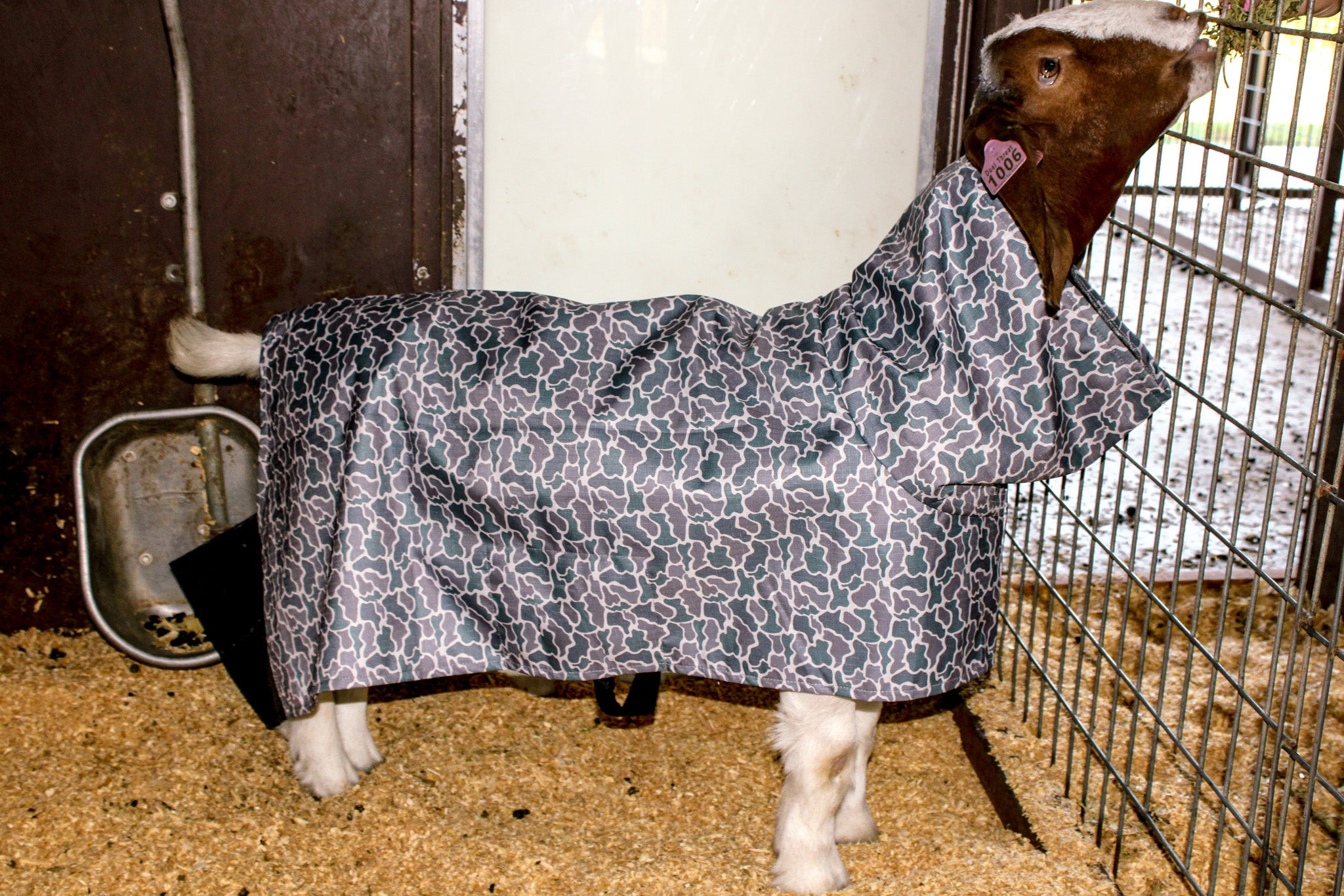 Ranch Tough Goat Blanket [Cool Camo] – Lawrence Livestock Co.